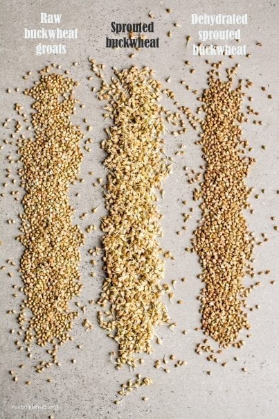 Sprouted Buckwheat aka How to Sprout Buckwheat | Nutriplanet