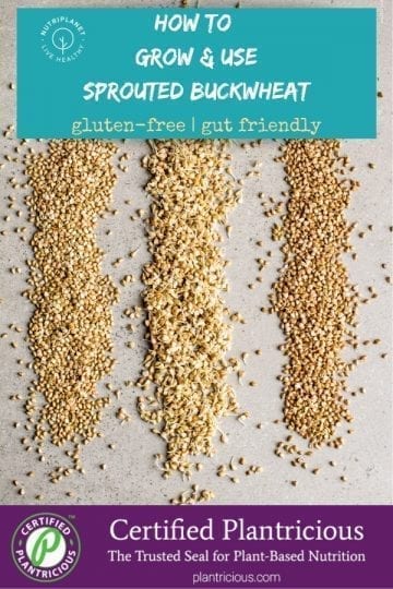 Sprouted Buckwheat aka How to Sprout Buckwheat | Nutriplanet