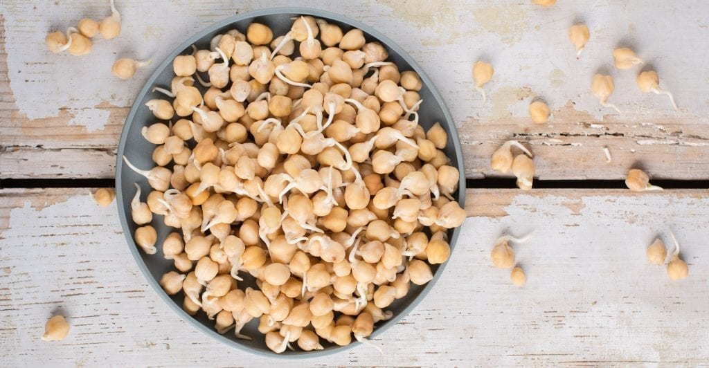 Sprouted Chickpeas 101: How to Soak, Cook and Sprout | Nutriplanet