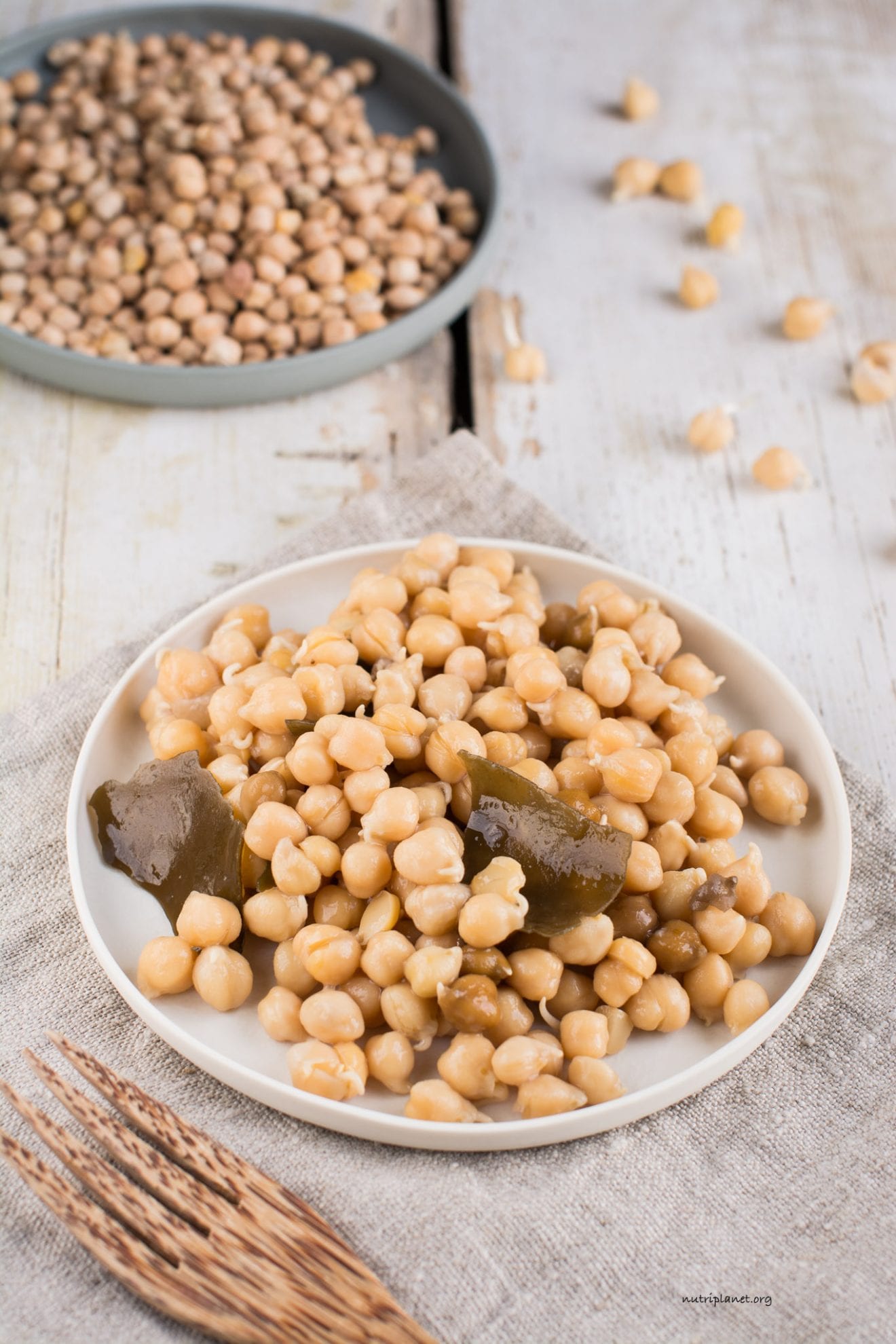 Sprouted Chickpeas 101: How to Soak, Cook and Sprout | Nutriplanet