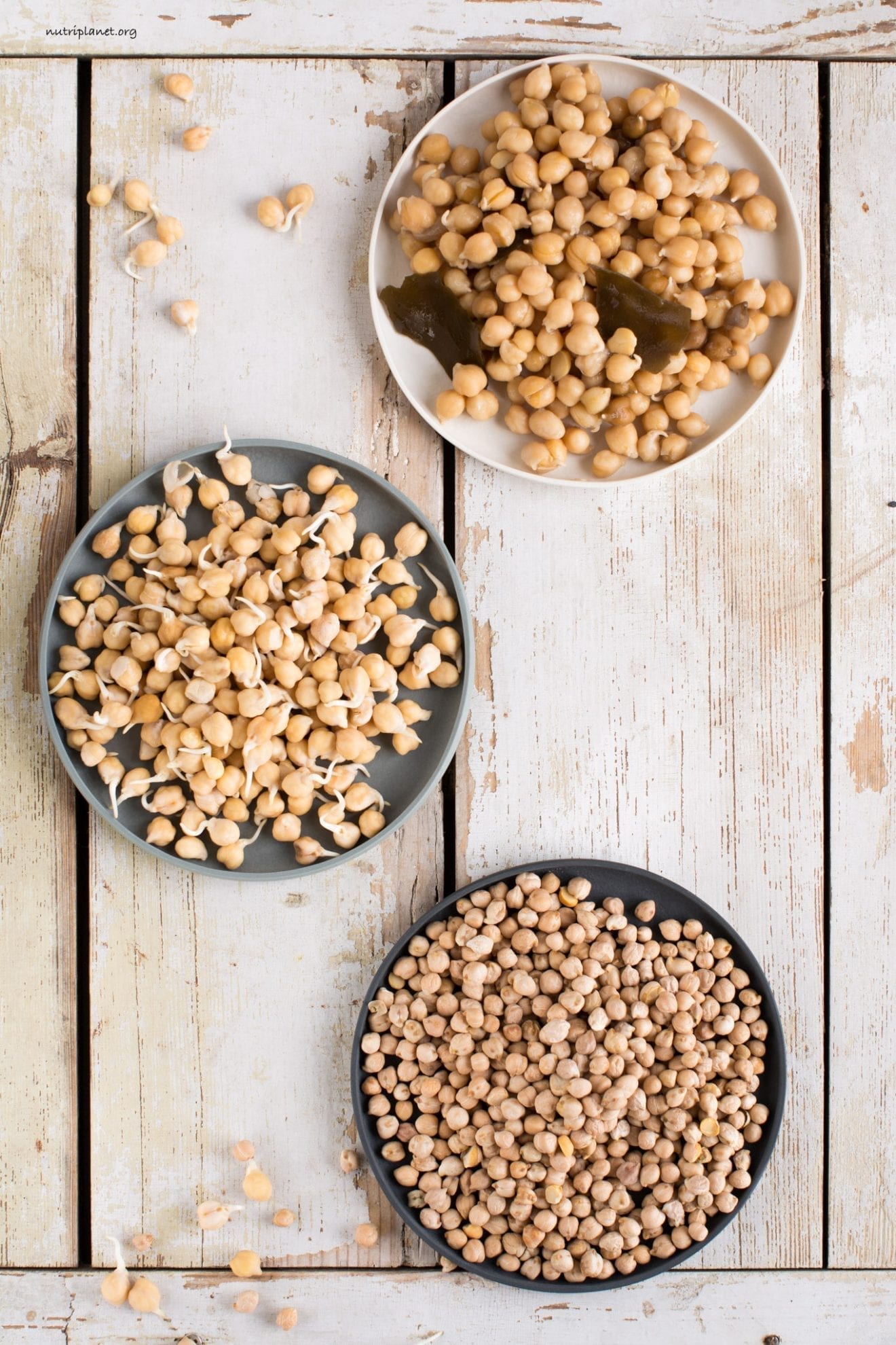 Sprouted Chickpeas 101: How to Soak, Cook and Sprout | Nutriplanet