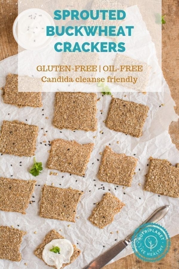 Gluten-Free Sprouted Crackers [Oil-Free] | Nutriplanet