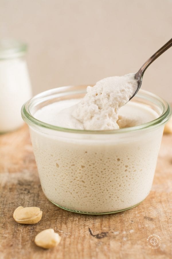 Cashew Yogurt with Probiotics [Dairy-Free] | Nutriplanet