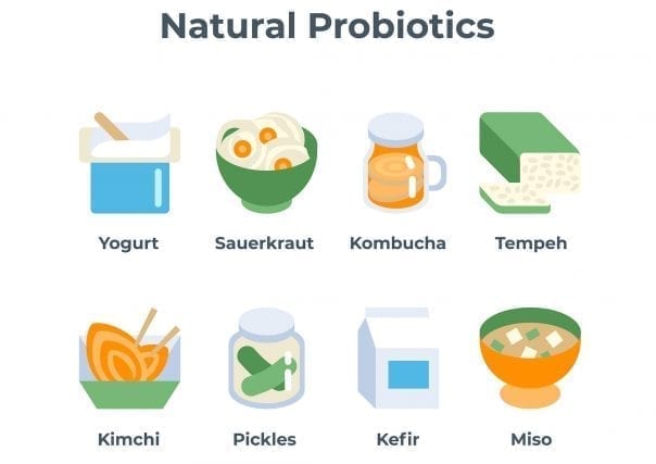 Probiotics: Benefits, How to Choose, When to Take, Safety | Nutriplanet
