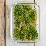 How to Cook Vegetables to Retain Nutrients | Nutriplanet