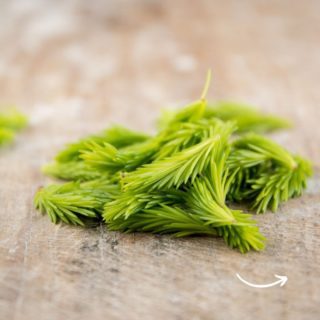 Spruce Tips: 5 Reasons To Eat & 8 Ways To Use Them