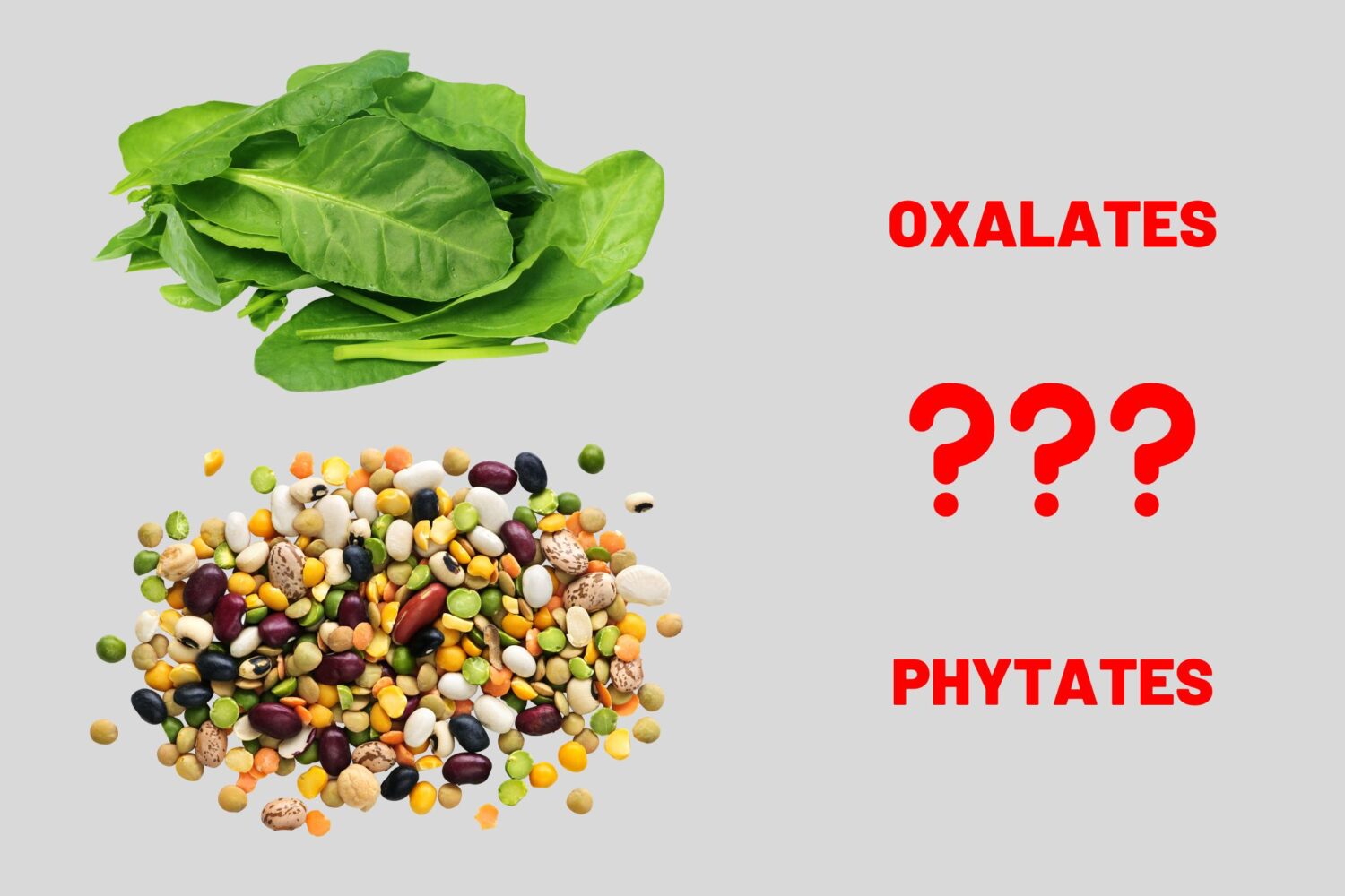 How to Reduce Anti-Nutrients in Food | Phytates & Oxalates | Nutriplanet