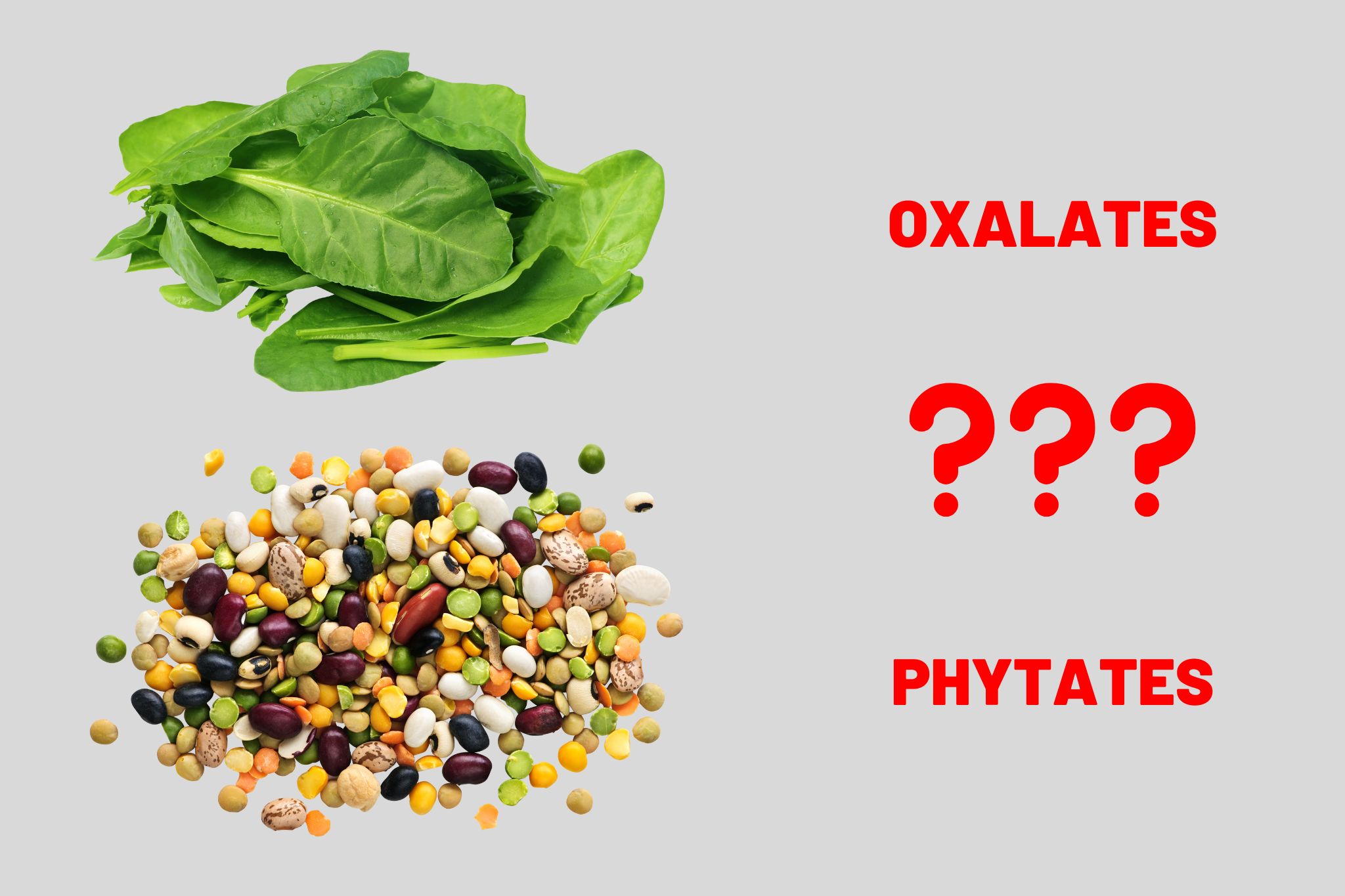 How to Reduce Anti-Nutrients in Food | Phytates & Oxalates | Nutriplanet