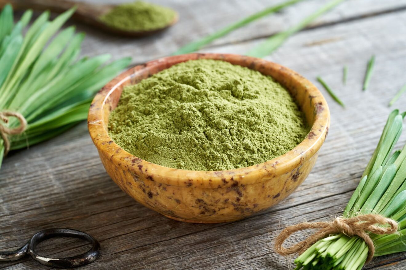 Barley Grass Powder Benefits | How to Use | Nutriplanet