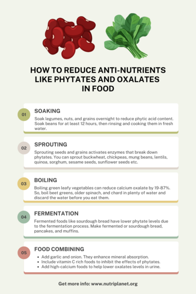How to Reduce Anti-Nutrients in Food | Phytates & Oxalates | Nutriplanet